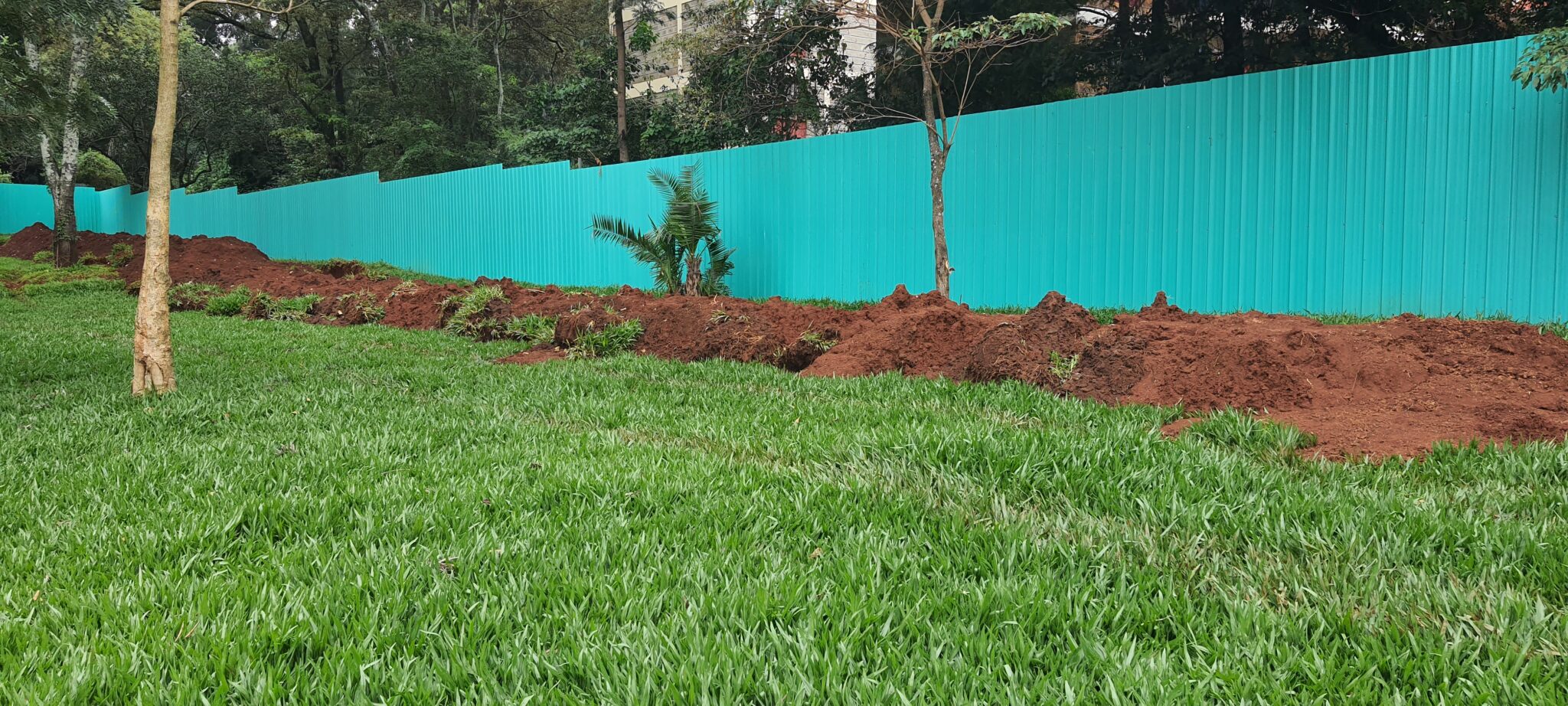 Keza Riruta - Mi Vida Homes